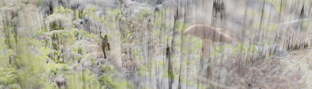 SOIL - Alpine Climate 2050